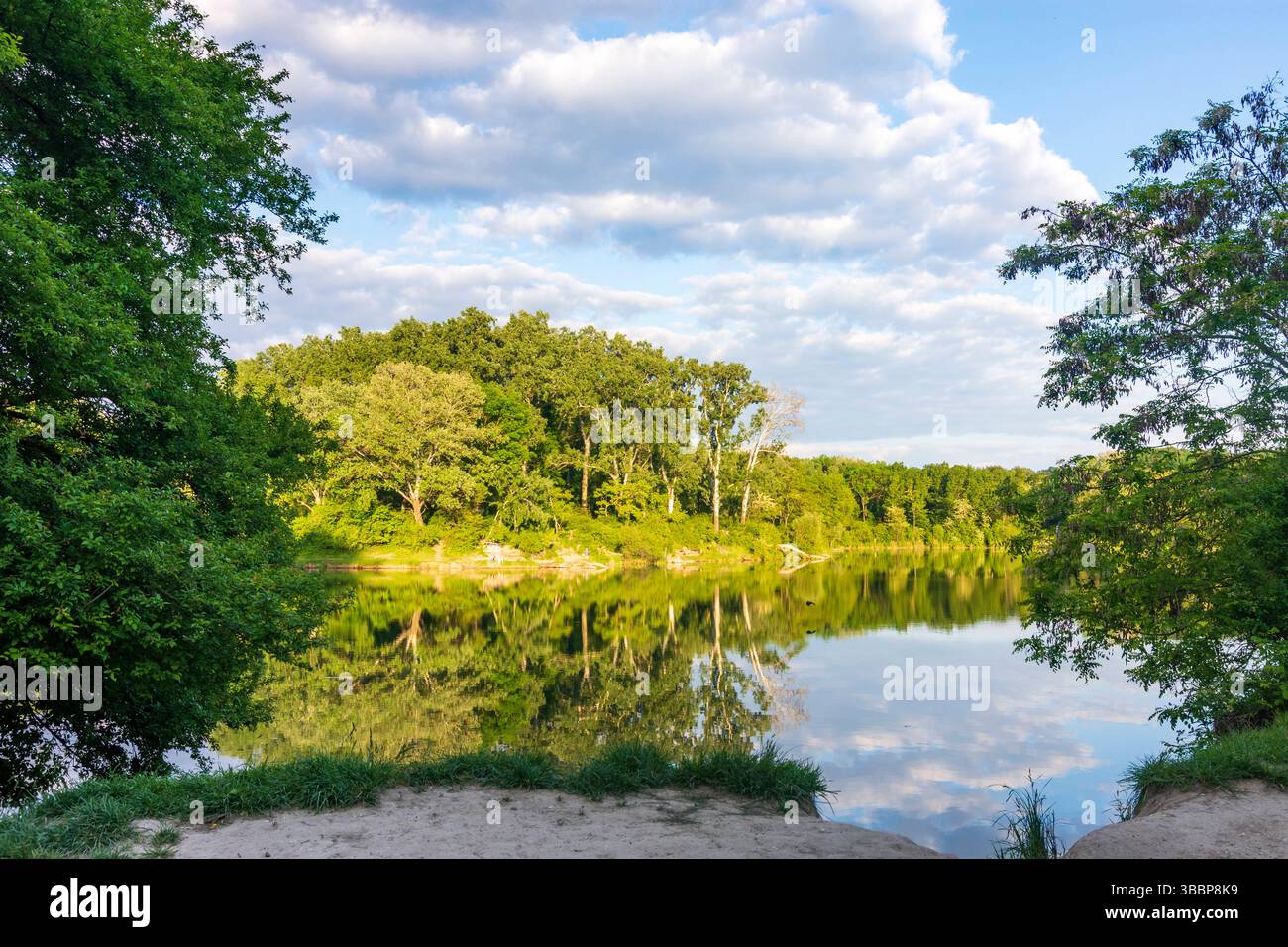 lake Dechantlacke in in area Lobau in national park Donauauen Danube ...