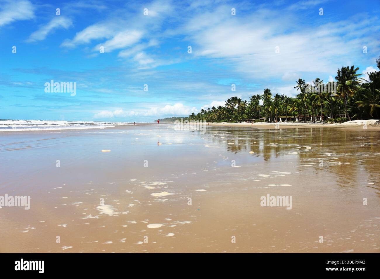 Beaches of natural exuberance hi-res stock photography and images - Alamy