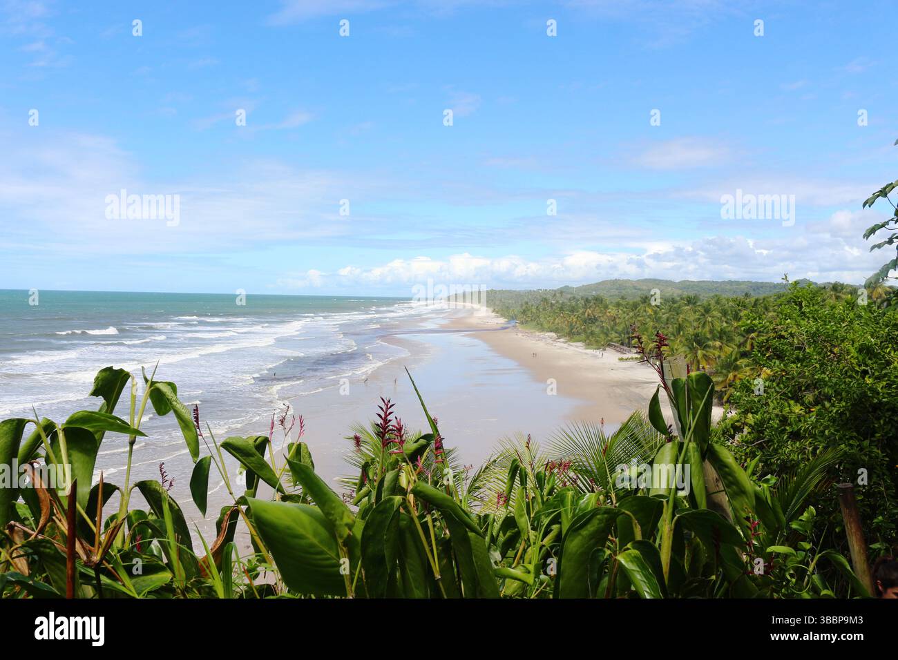 The exuberant beauty of Brazil's beaches, a landscape with sea, sand ...