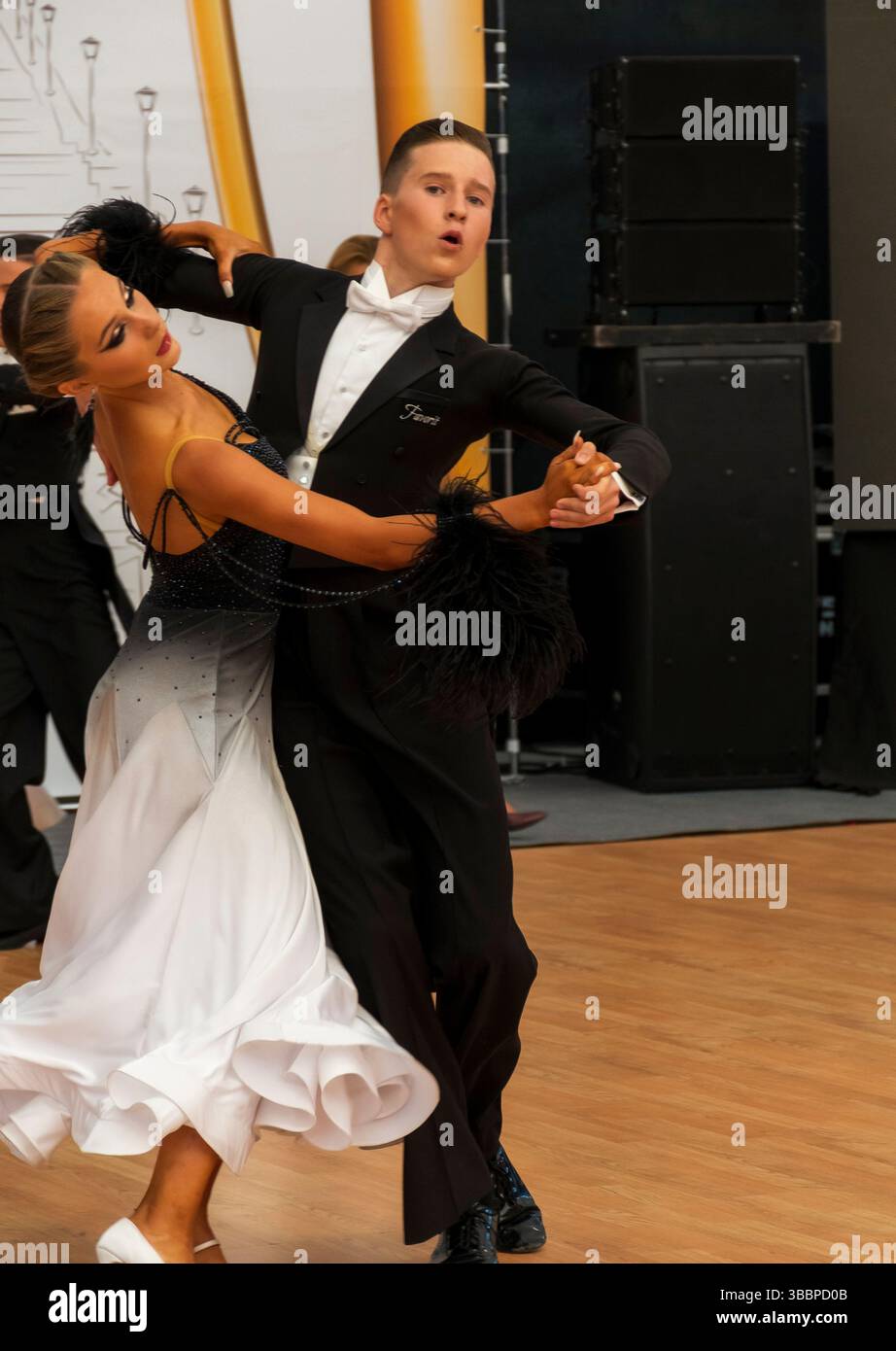 couple dancing standard European program on the dance floor Stock Photo ...
