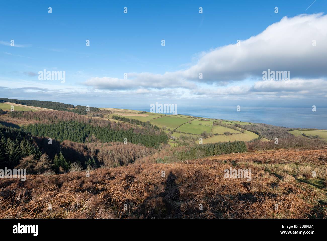 Porlock Common at the top of Porlock Hill in Exmoor National Park Stock ...