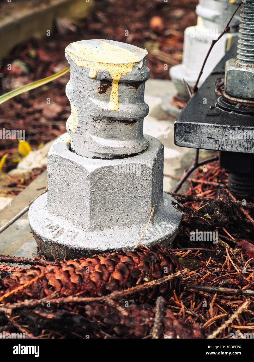 Metal pillar fasten to basement with anchor bolts and nuts. Supporting ...