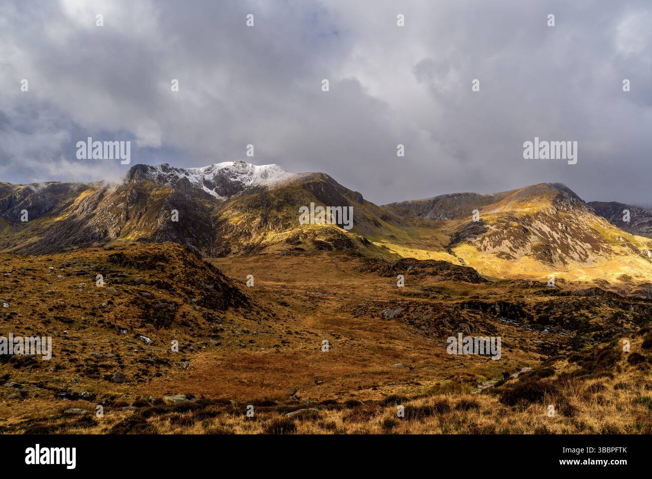 Tarn feeder hi-res stock photography and images - Alamy