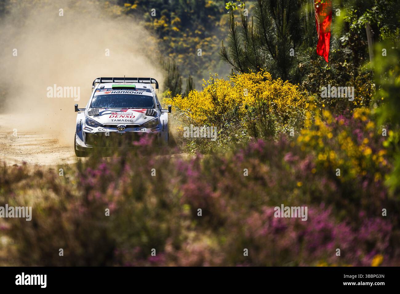 33 Elfyn EVANS, Scott MARTIN, Toyota GR Yaris Rally1, action during the ...