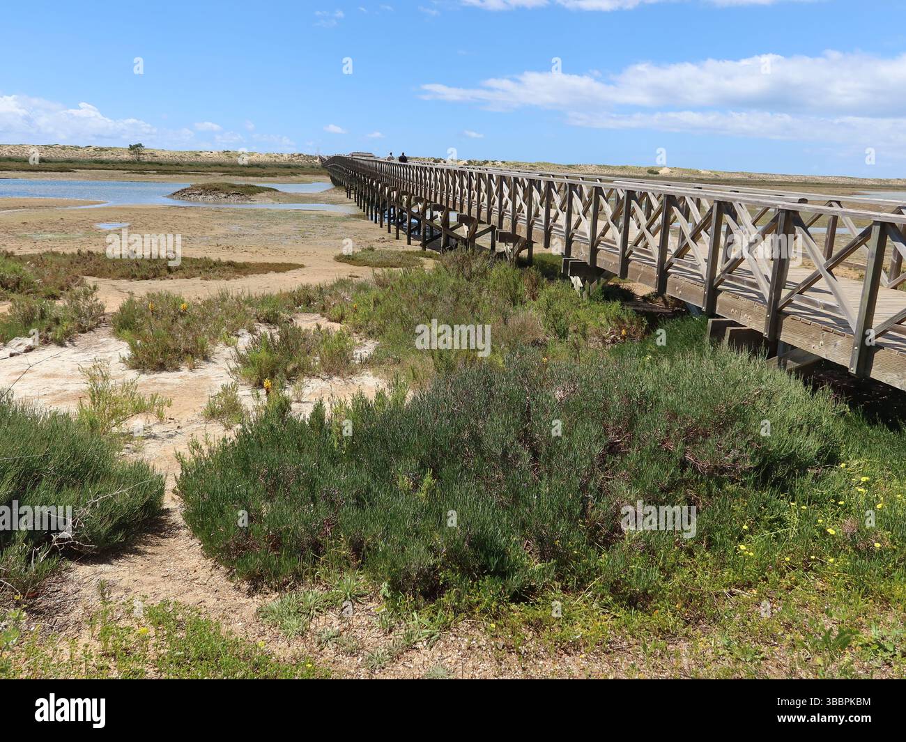 Spanning the Ria Formosa, a tidal lagoon, the Quinta do Lago bridge ...