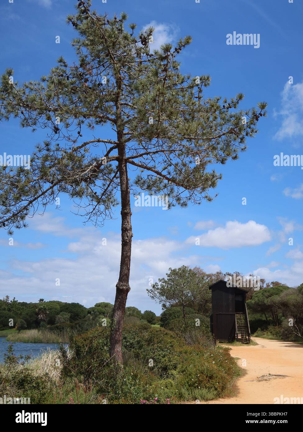 Photo of one of the bird hides alongside the path on the Sao Lourenco ...