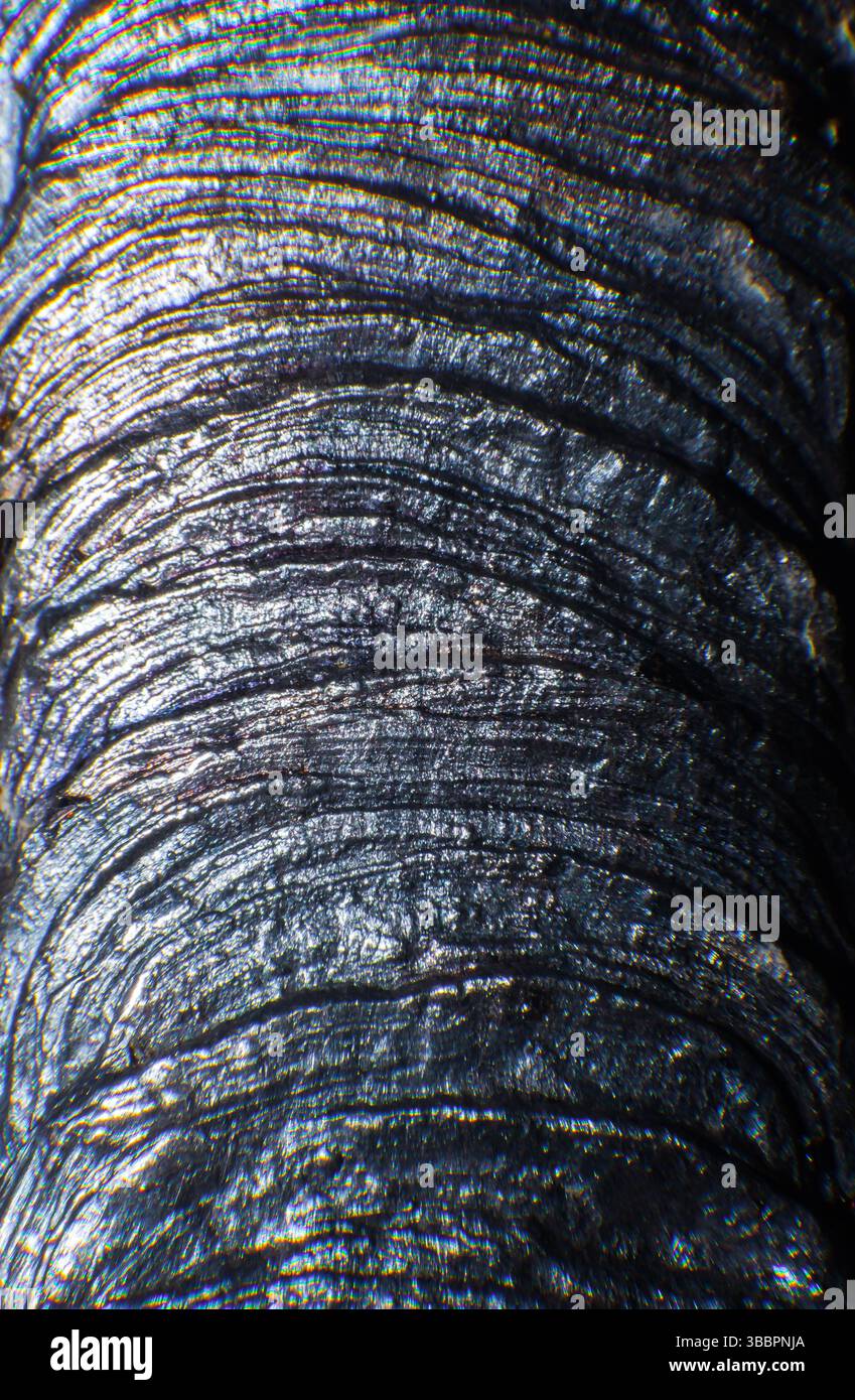 Closeup of a steel weld on a surface Stock Photo - Alamy