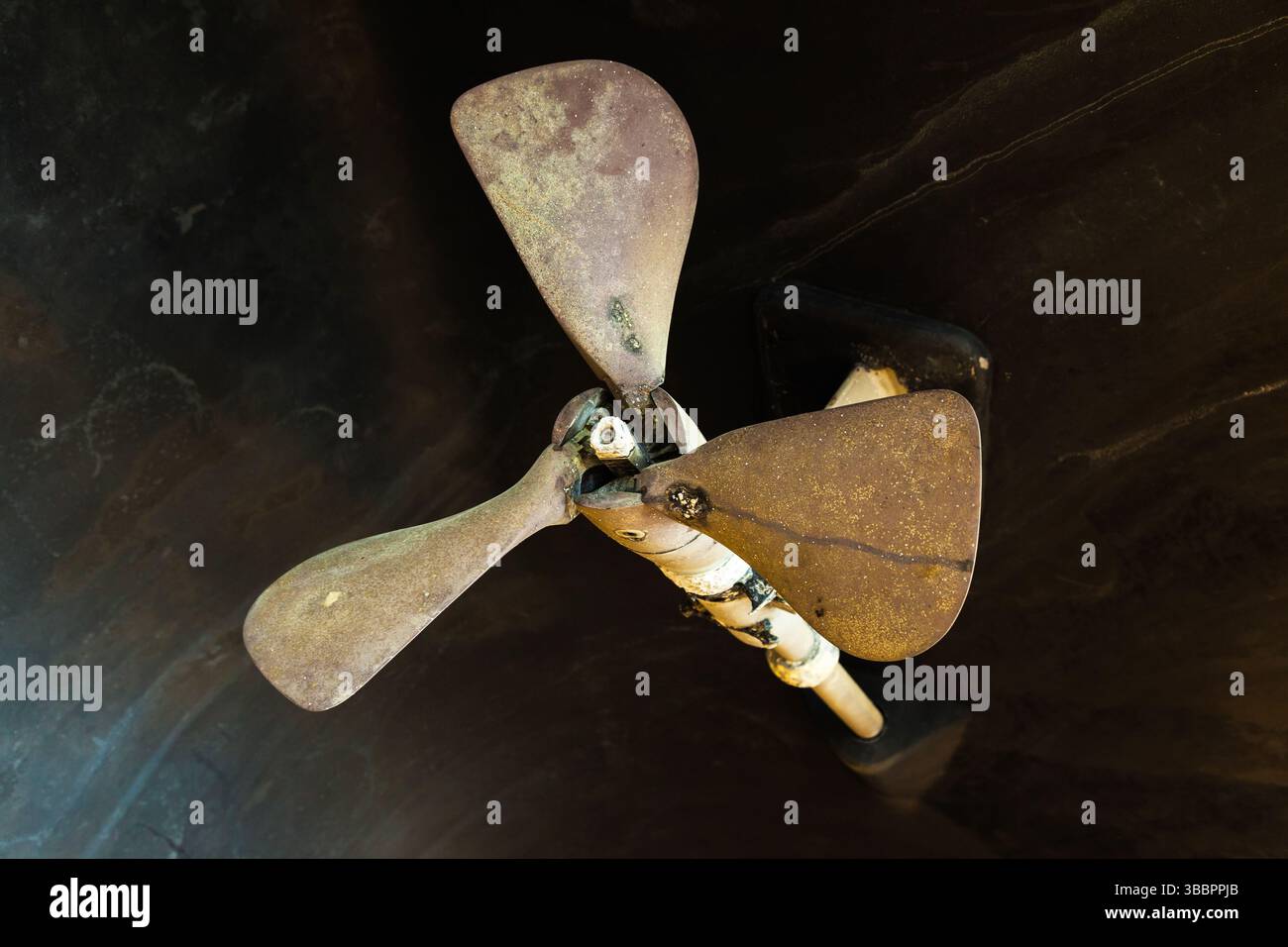 Folding propeller blades hi-res stock photography and images - Alamy