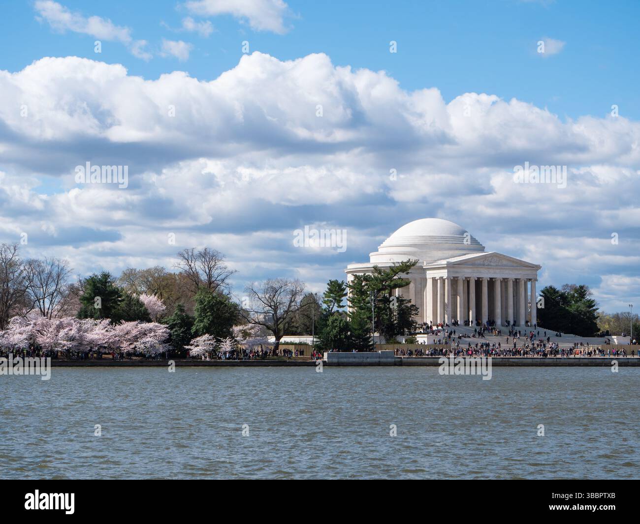 Jefferson Memorial and Cherry Blossoms in Washington, DC during the Cherry Blossom Festival ...