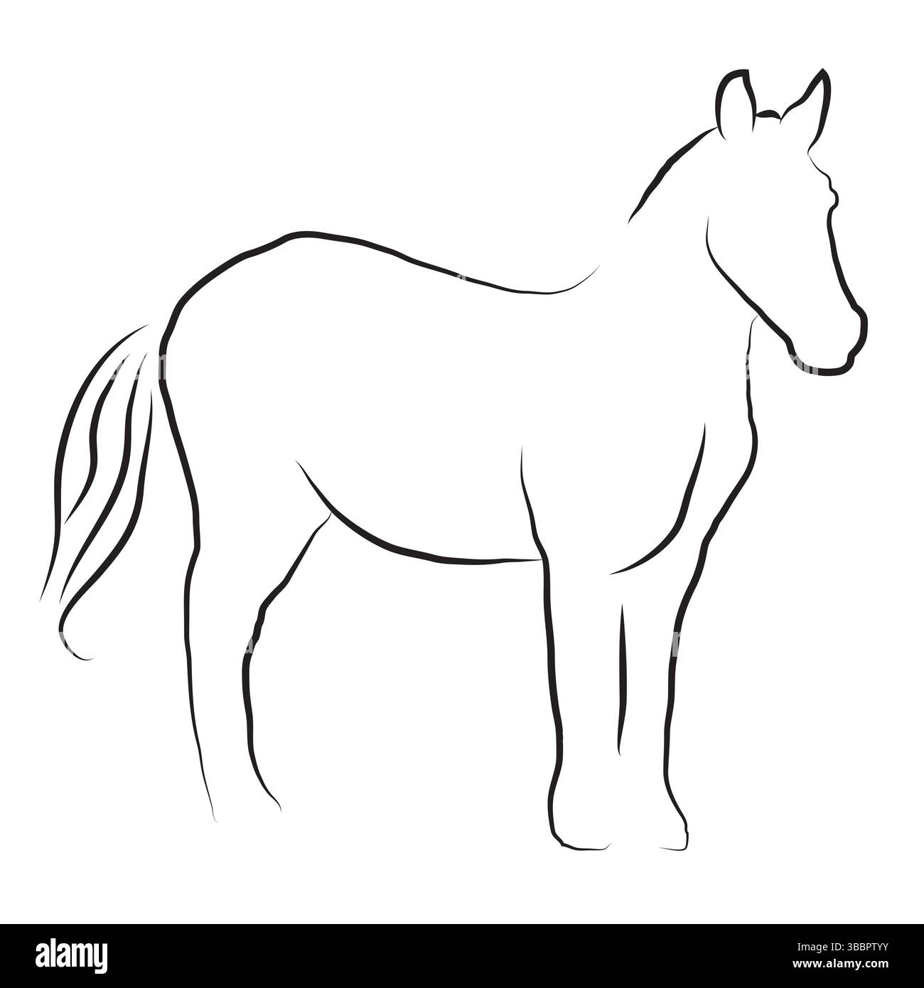 Black outline horses head Cut Out Stock Images & Pictures - Alamy
