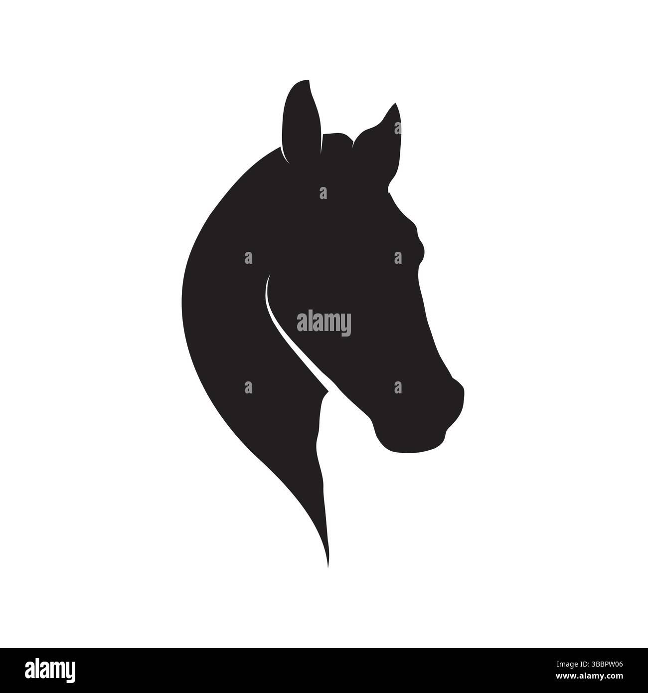 Minimal elegant Cut Out Stock Images & Pictures - Alamy