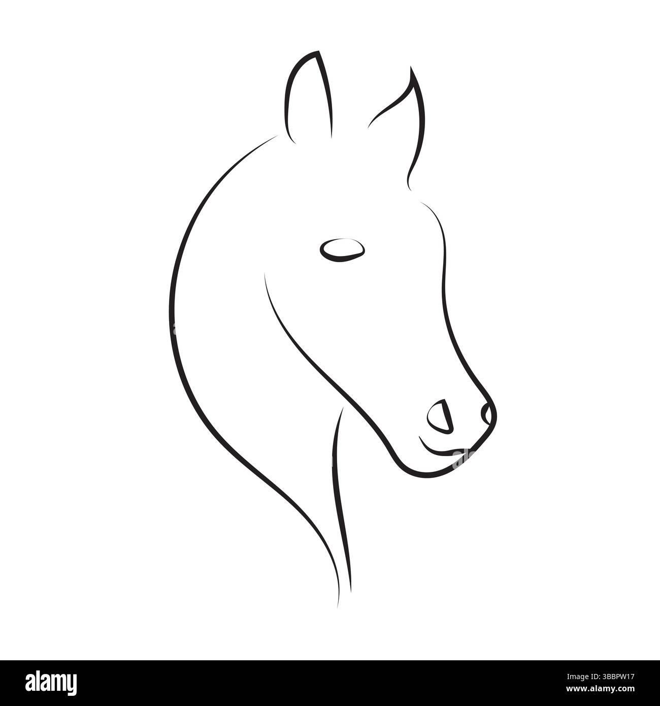 Thin Horse Stallion Logo Icon with Line or Outline Horse Face Stock ...