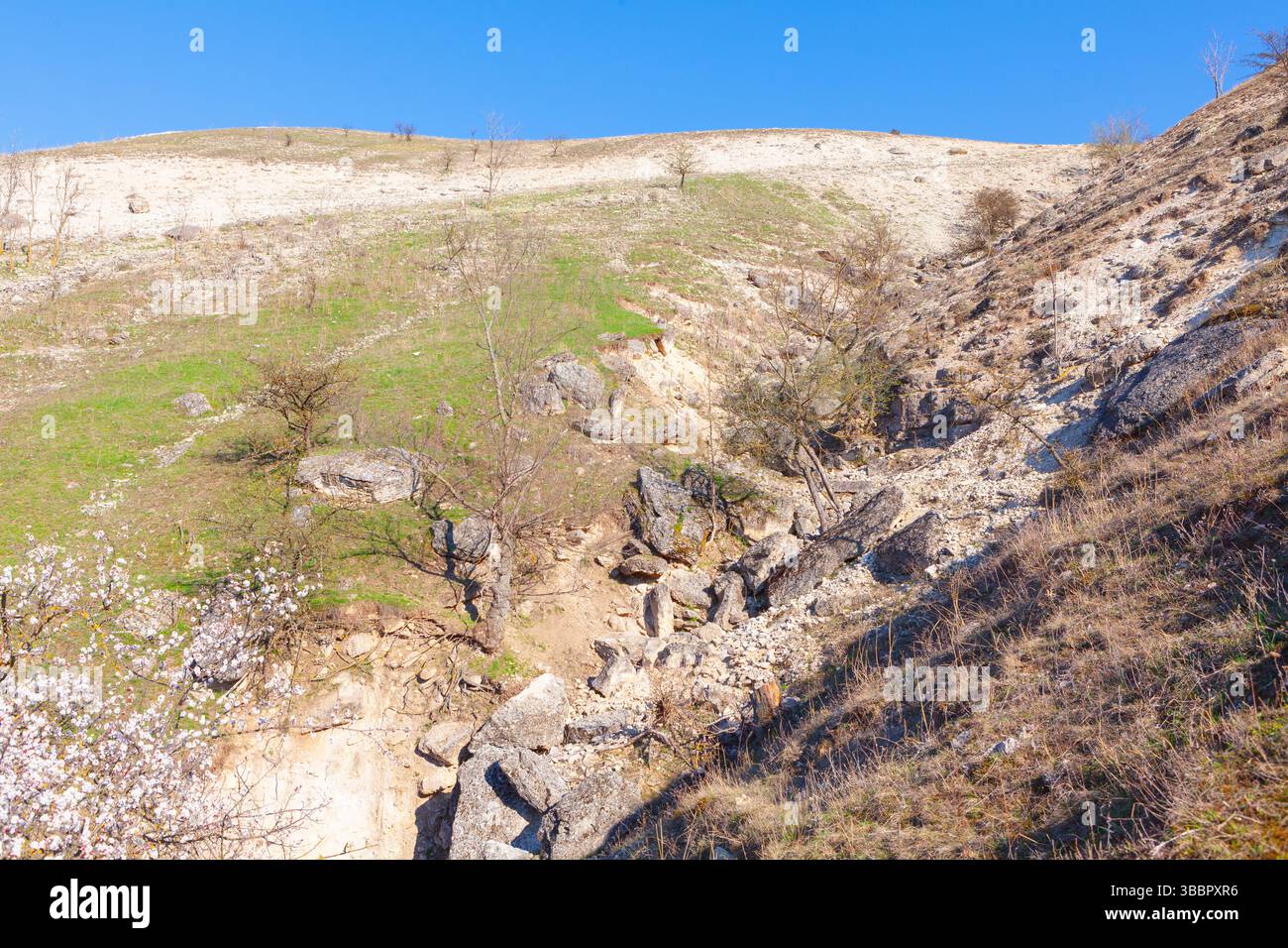Rocky ravine cuts through the hillside, revealing layers of earth and ...