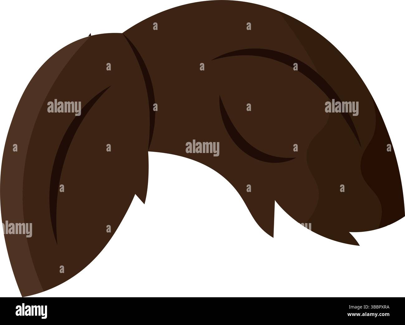 Brown Layered Hairstyle Graphic Design. Vector illustration Stock ...