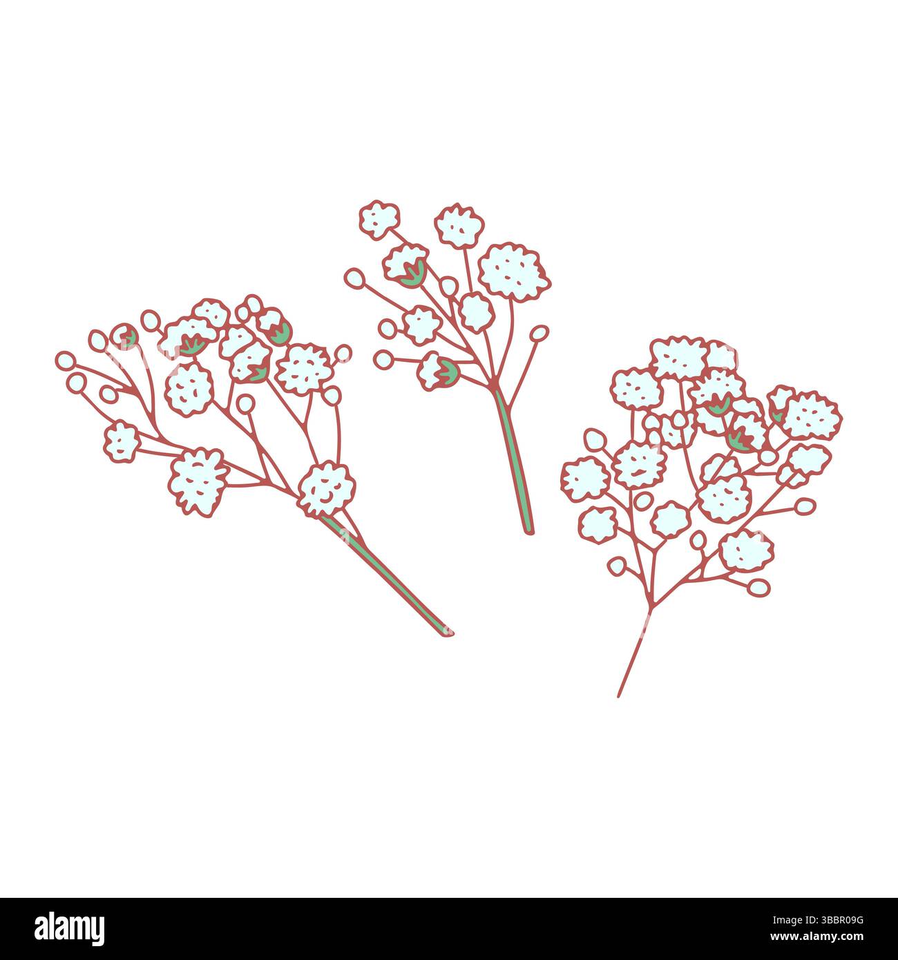 Hand drawn line art white babys breath flowers isolated on white ...
