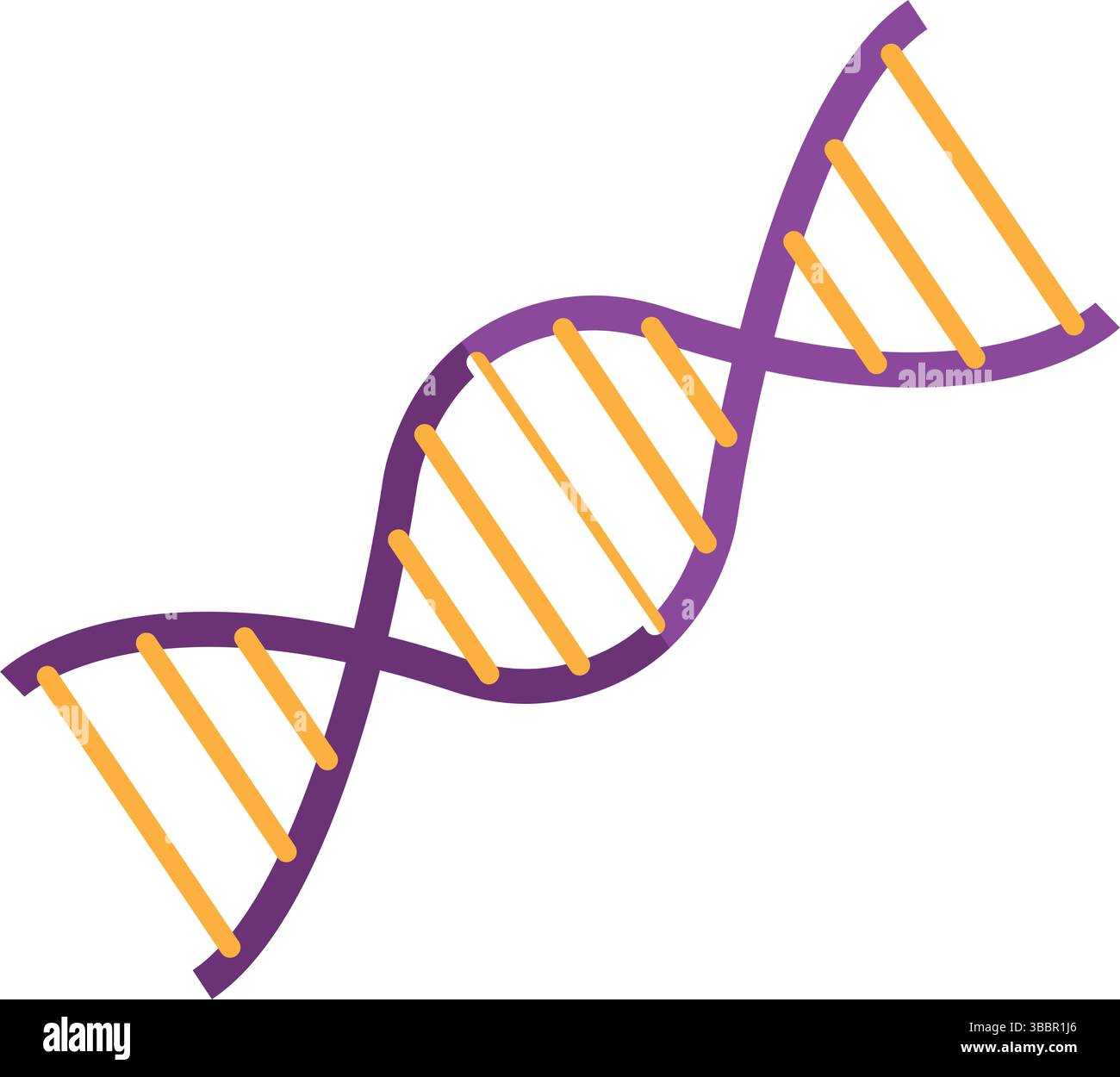 Purple DNA double helix. Vector illustration Stock Vector Image & Art ...