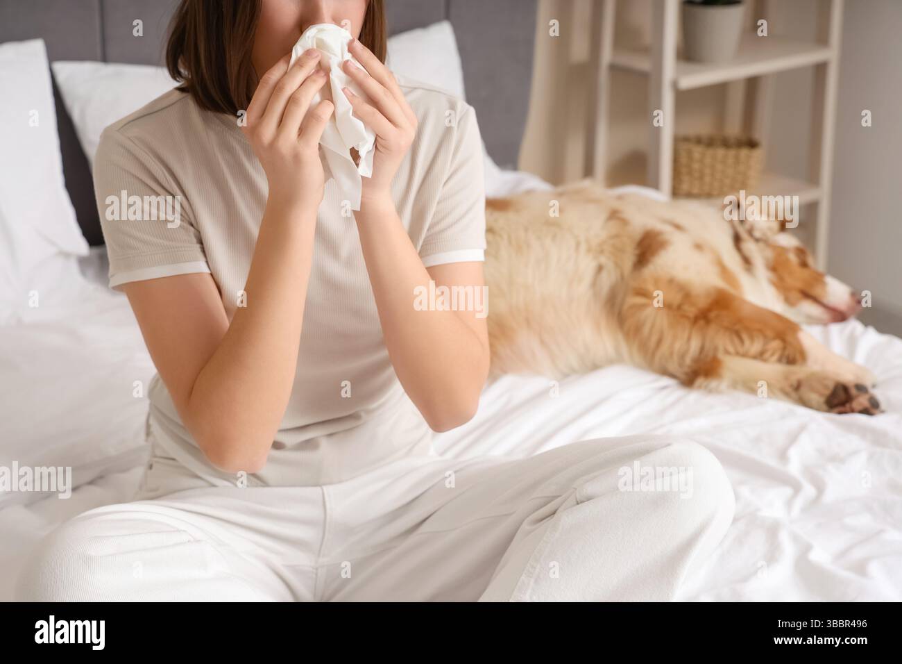 Dog and young woman with allergy to fur in bedroom Stock Photo - Alamy