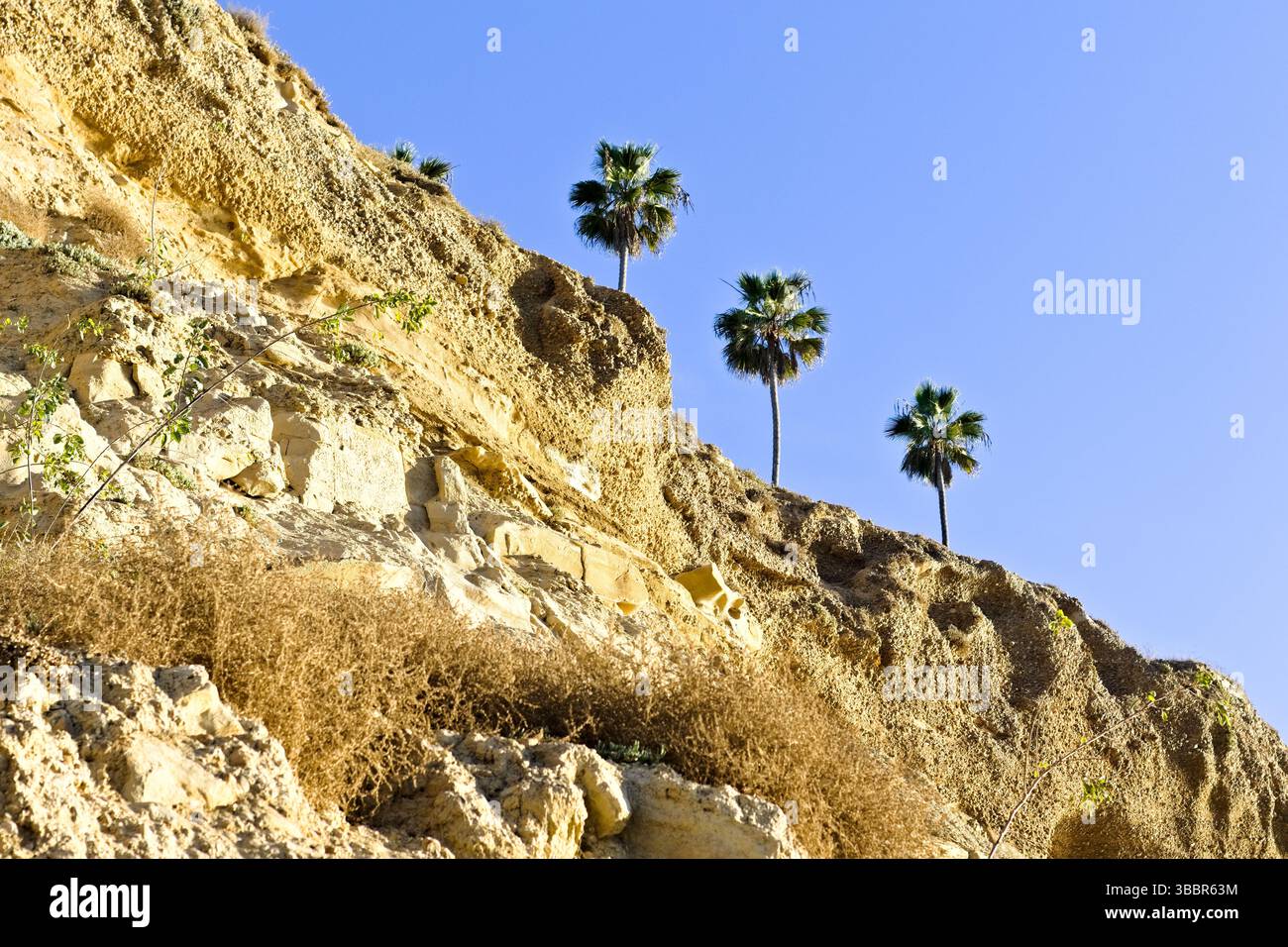 Coastal cliffs blacks beach hi-res stock photography and images - Alamy