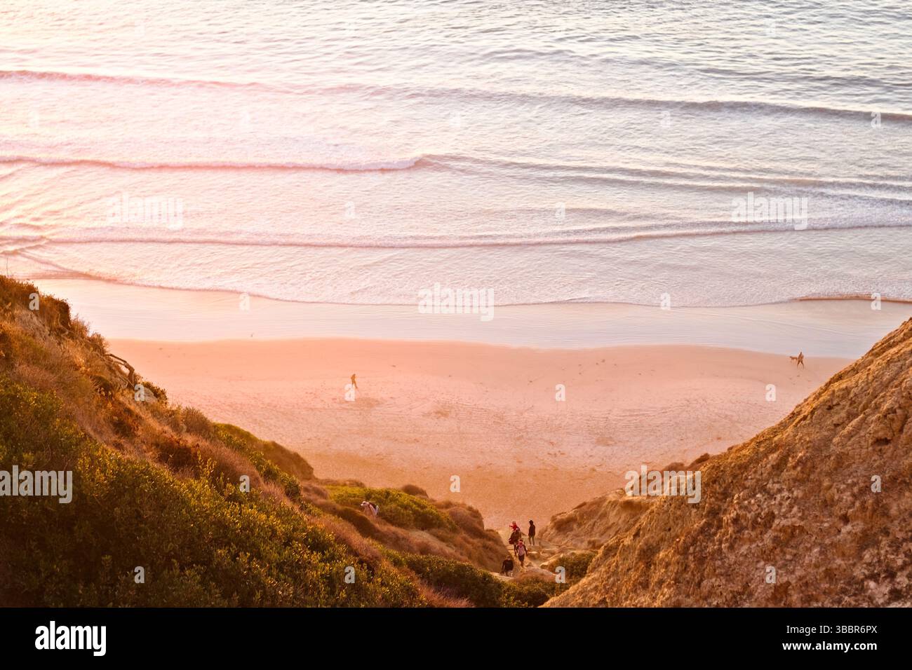Blacks Beach from the Cliffs of La Jolla Stock Photo - Alamy