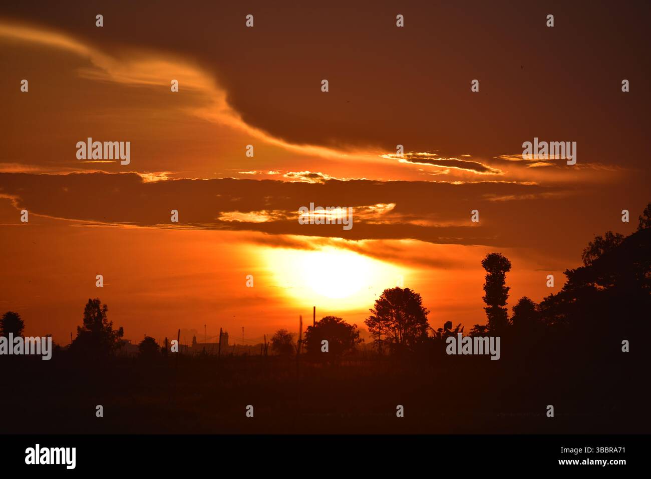 A glowing sun sets behind dark tree silhouettes, casting a fiery orange ...