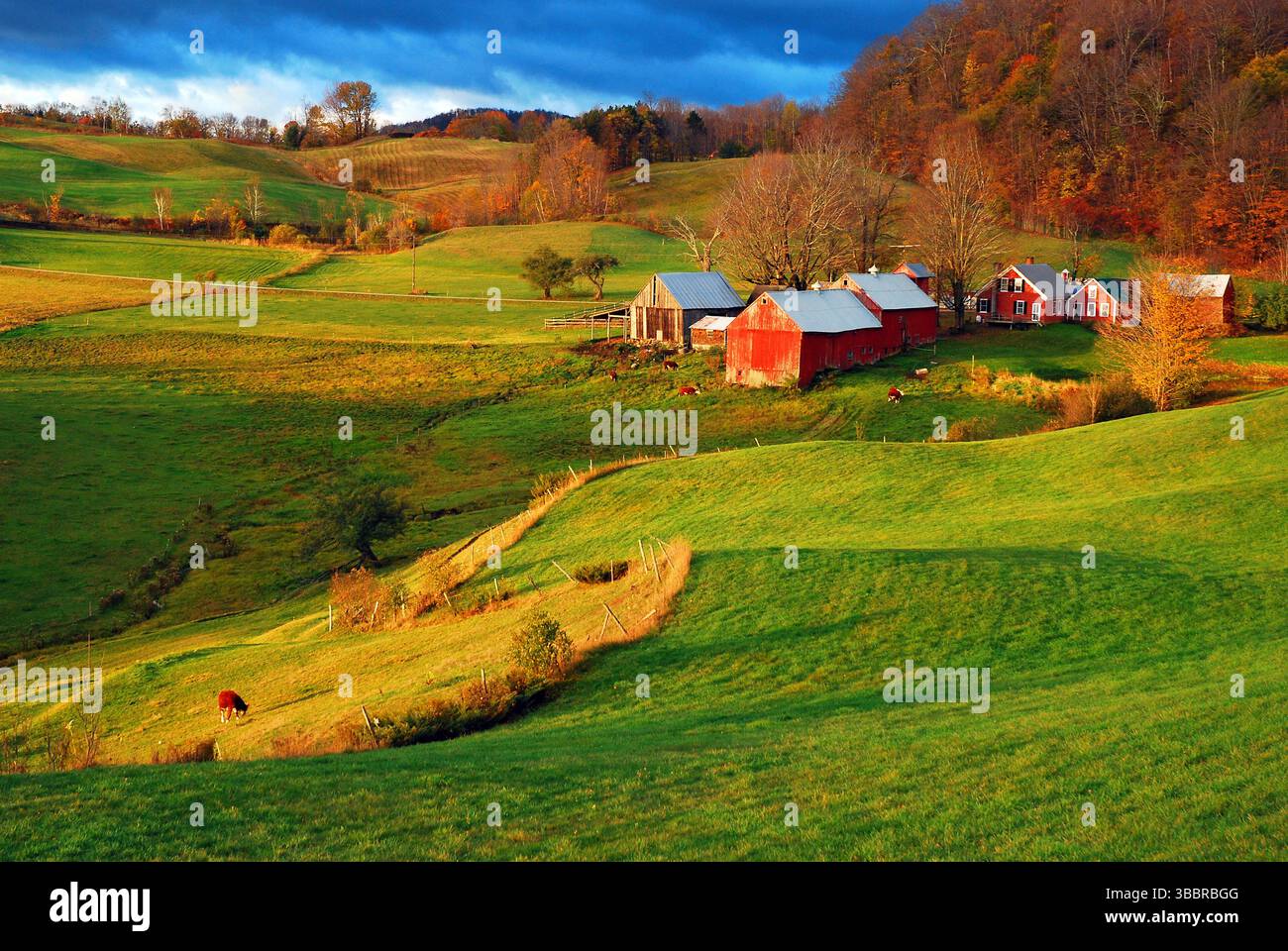 Rolling hills and farmland of rural Vermont Stock Photo - Alamy