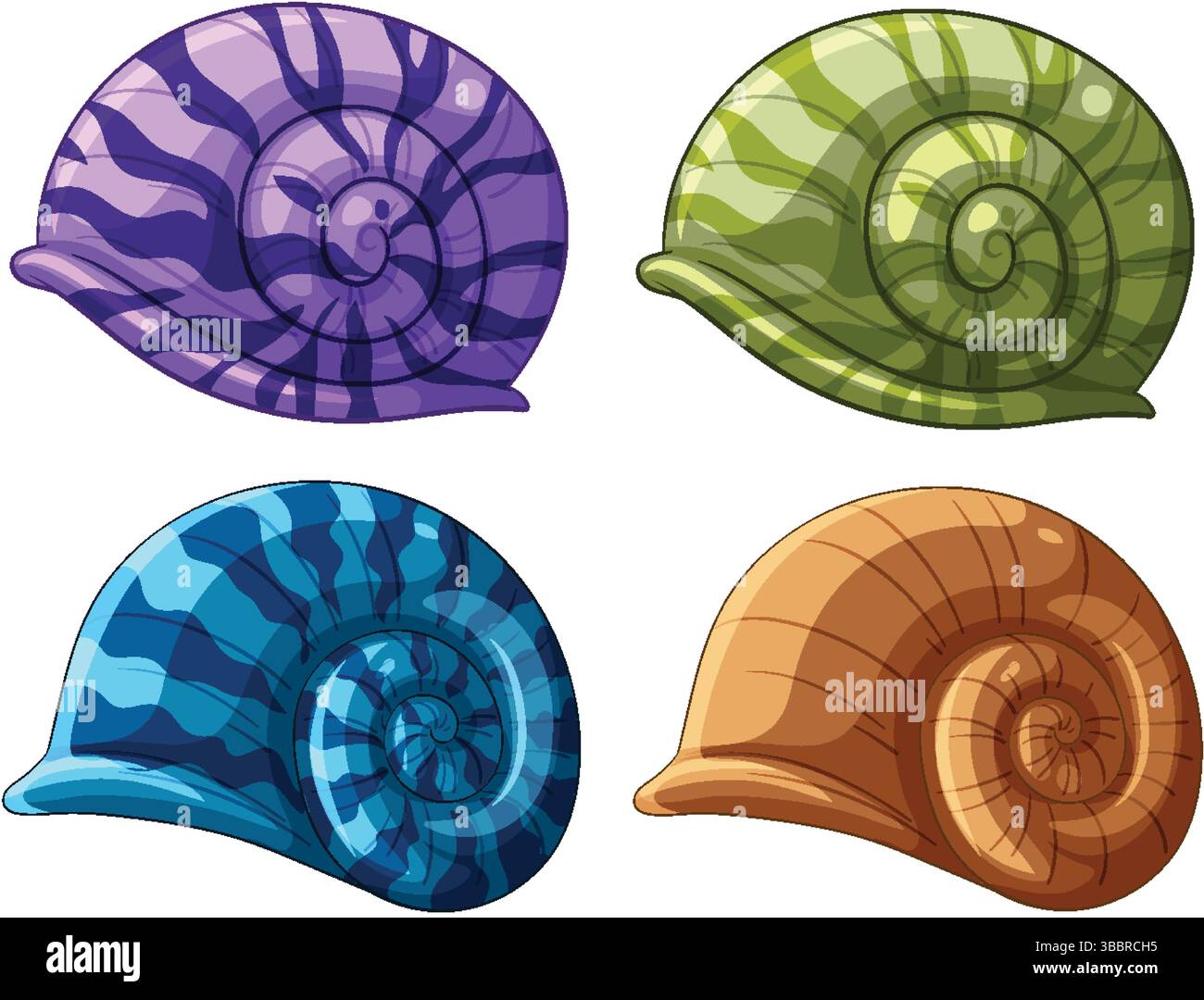 Four vibrant nautilus shells in purple, green, blue, and orange ...