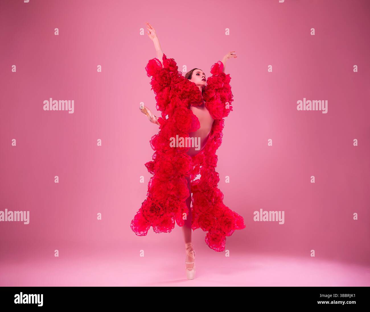 a young female ballerina in a photo studio in a cape dress made of rose ...