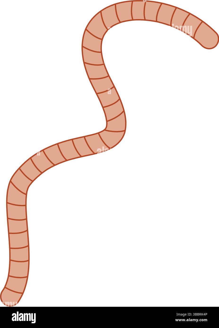 doodle icon. worm. vector illustration Stock Vector Image & Art - Alamy