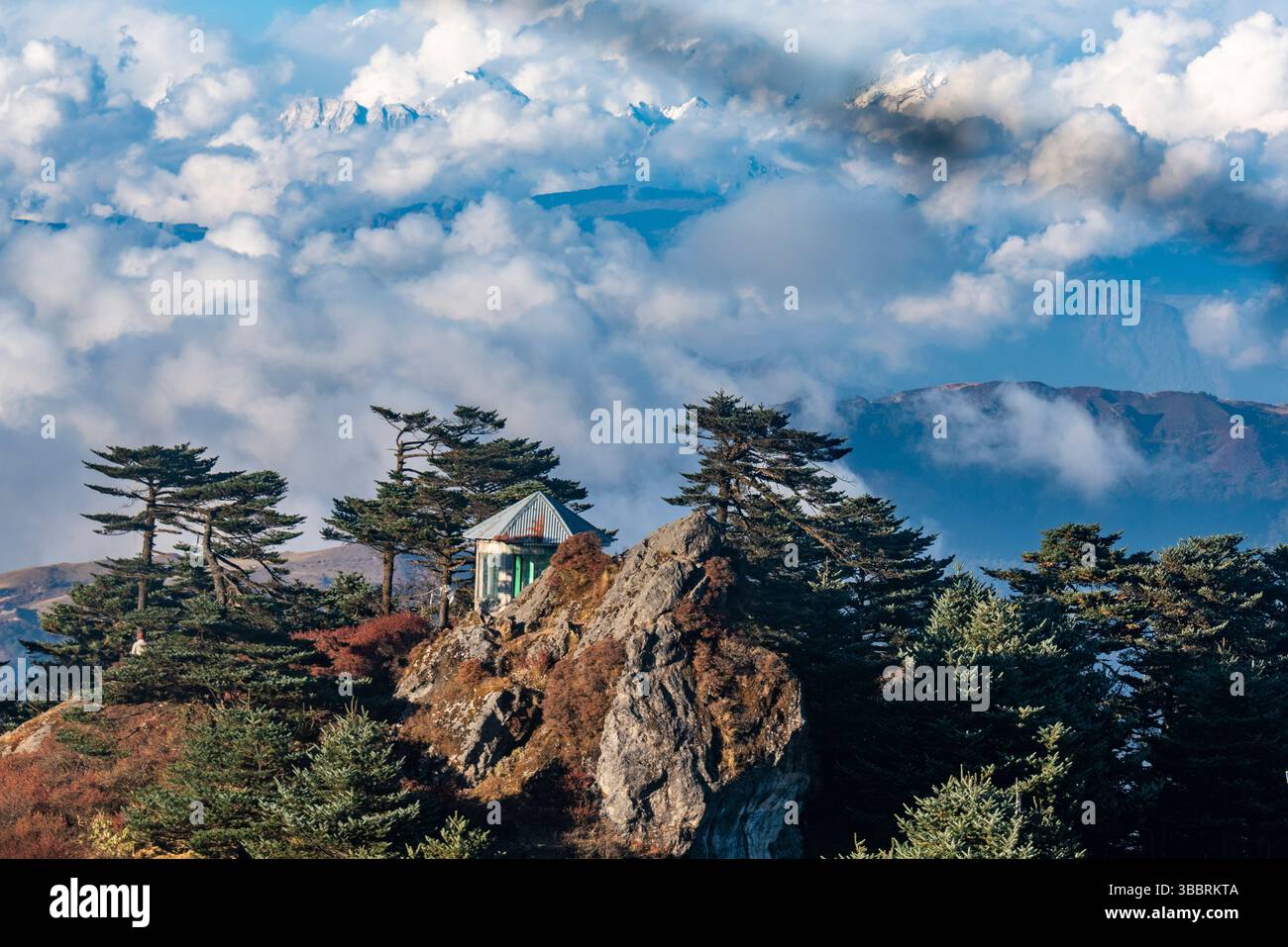 Sandakphu is the highest peak in Singalila Ridge in Darjeeling, West ...