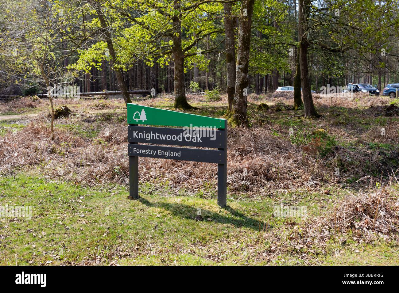Knightwood Oak car park in The New Forest, Hampshire, England, UK Stock ...