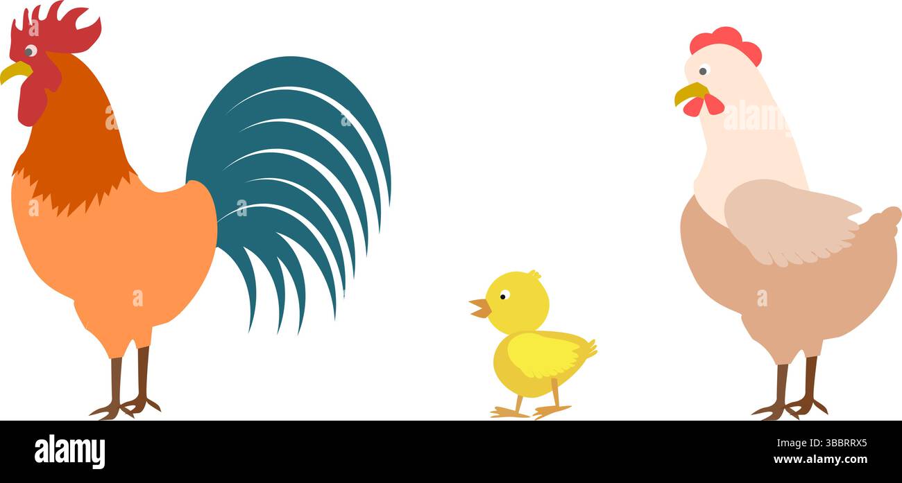 Vector cartoon farm animal family with rooster, hen and chicks Stock ...