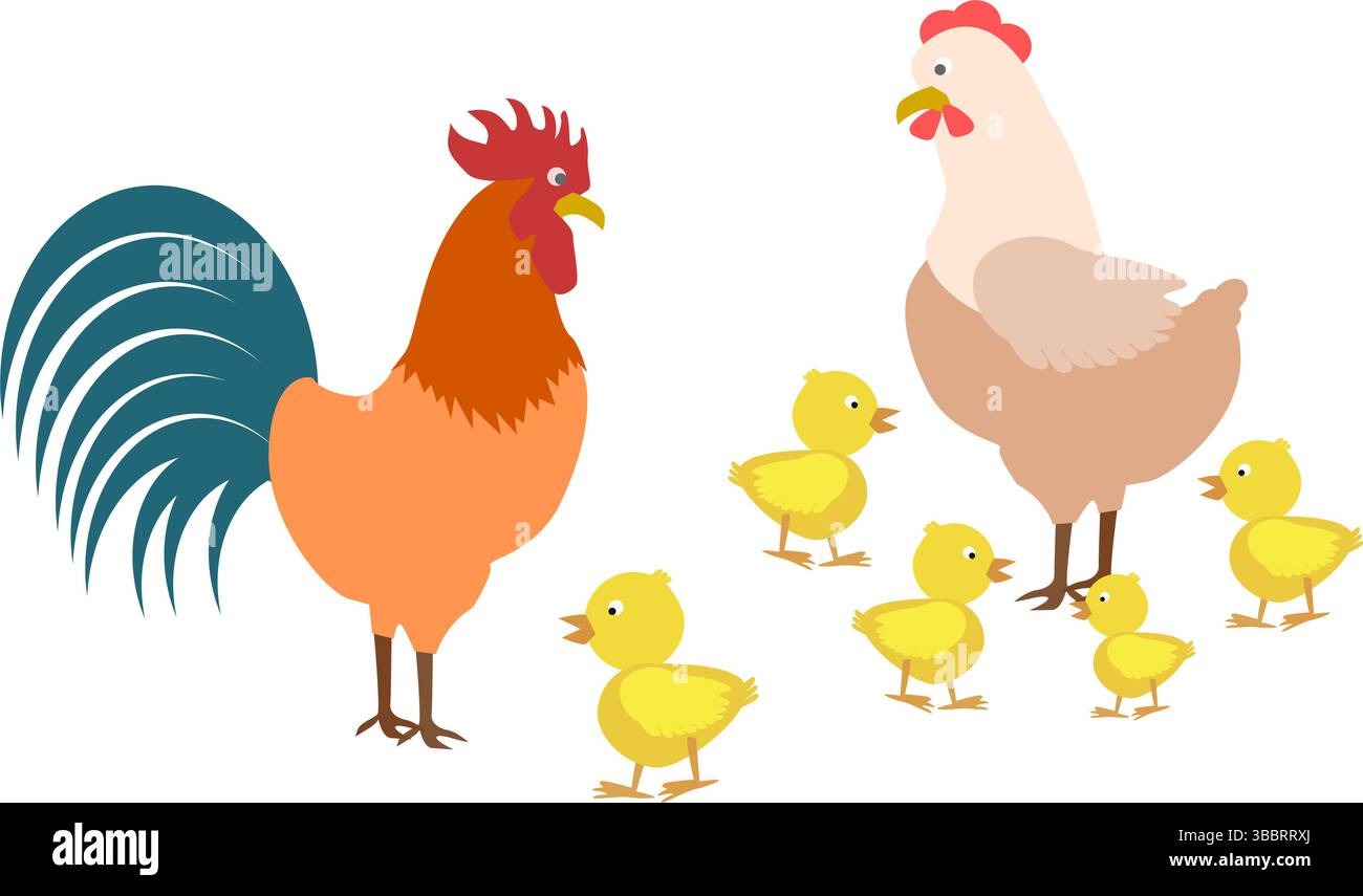 Vector cartoon farm animal family with rooster, hen and chicks Stock ...