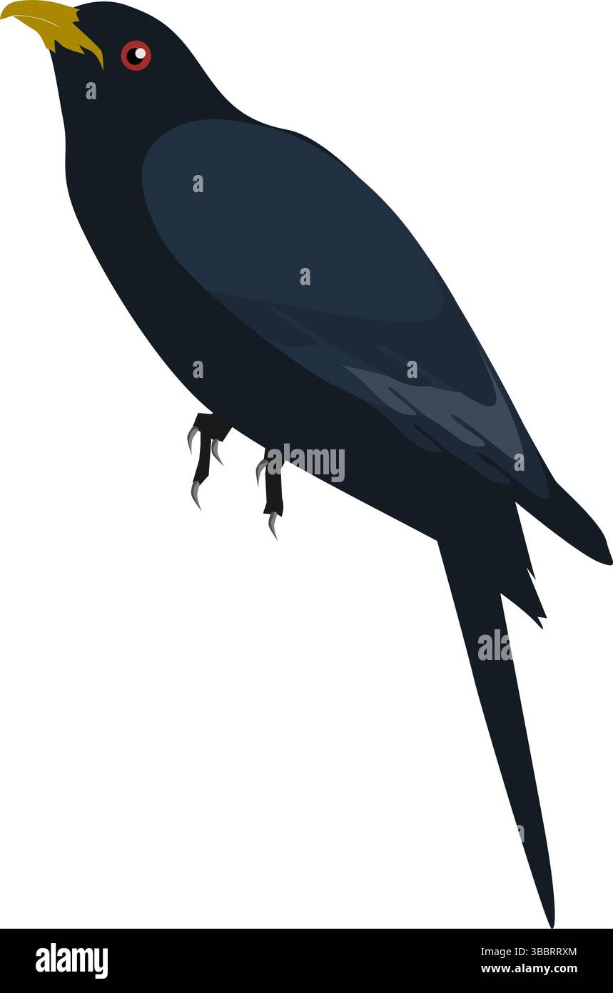 Vector bird of black craw Stock Vector Image & Art - Alamy