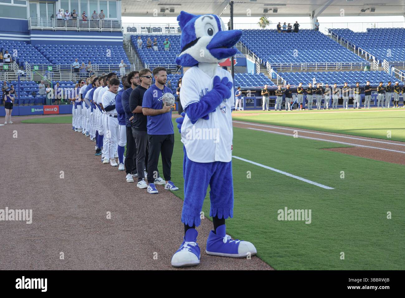 Dunedin, FL: A general image of the Dunedin Blue Jays mascot D-Jay and ...