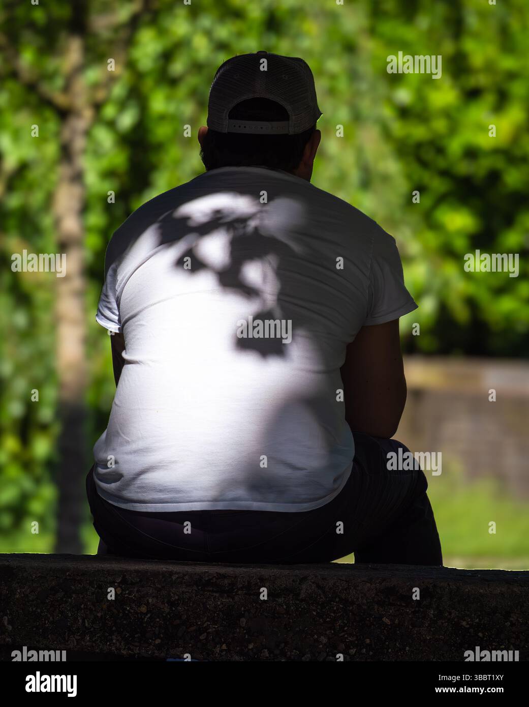 A person sitting with their back to the camera, wearing a white shirt ...