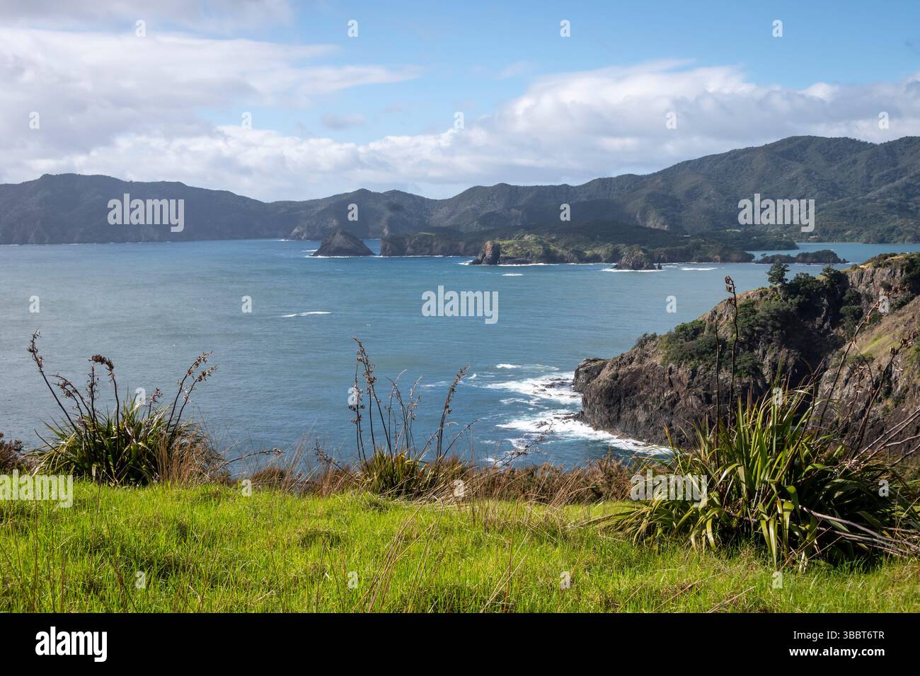 Urupukapuka Island, Bay of Islands, North Island, New Zealand Stock ...