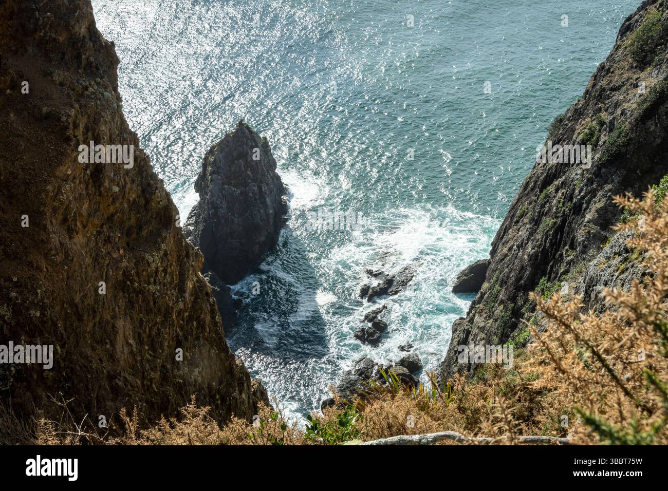 Steep sea cliffs, Urupukapuka Island, Bay of Islands, North Island, New ...
