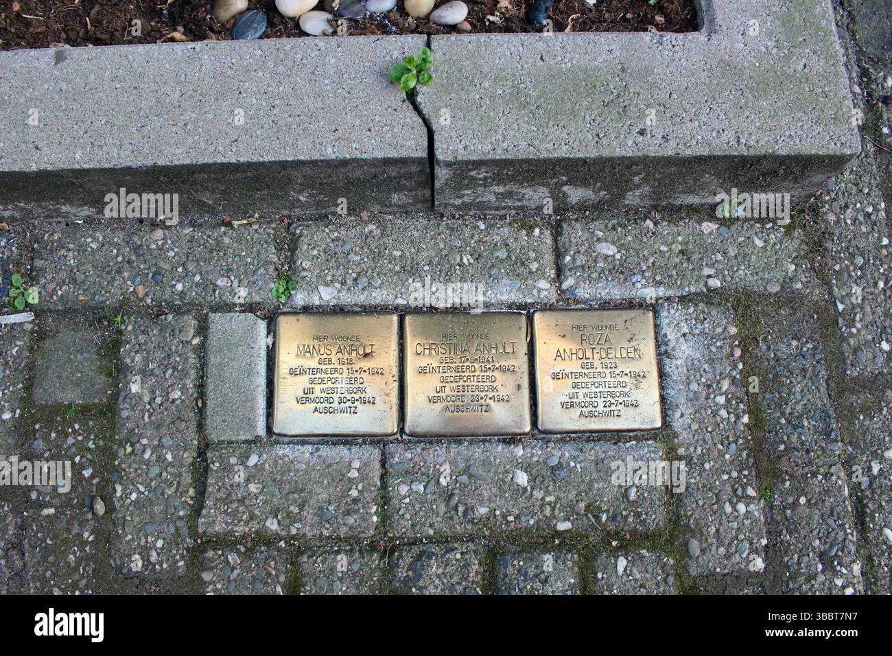 the stumbling stones laid in the jewish quarter of amsterdam where jews ...