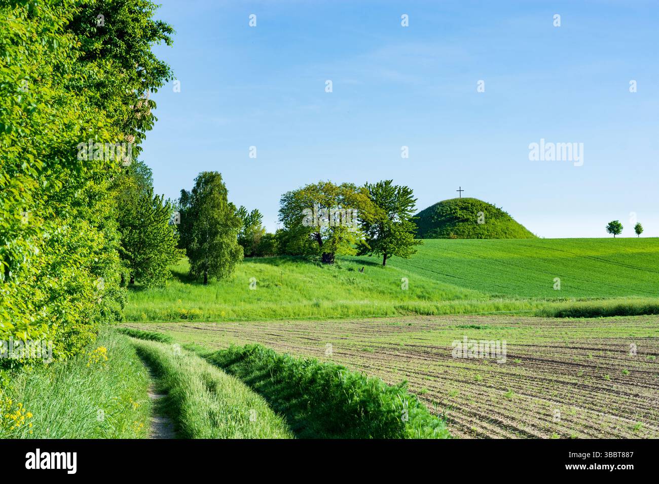 Großmugl: Leeberg hill burial mound (tumulus).. The tumulus was built ...