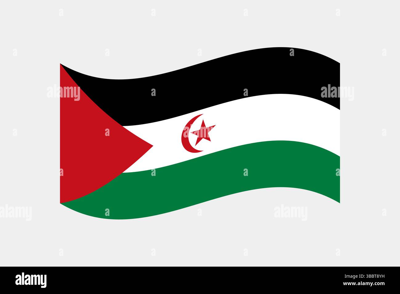 Flag of Sahrawi Arab Democratic Republic. Sahrawi Arab Democratic ...