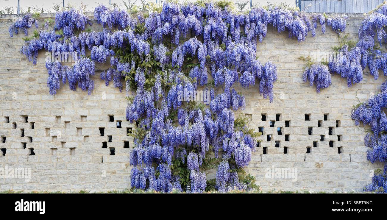 St Anne's College, University of Oxford, England Stock Photo - Alamy