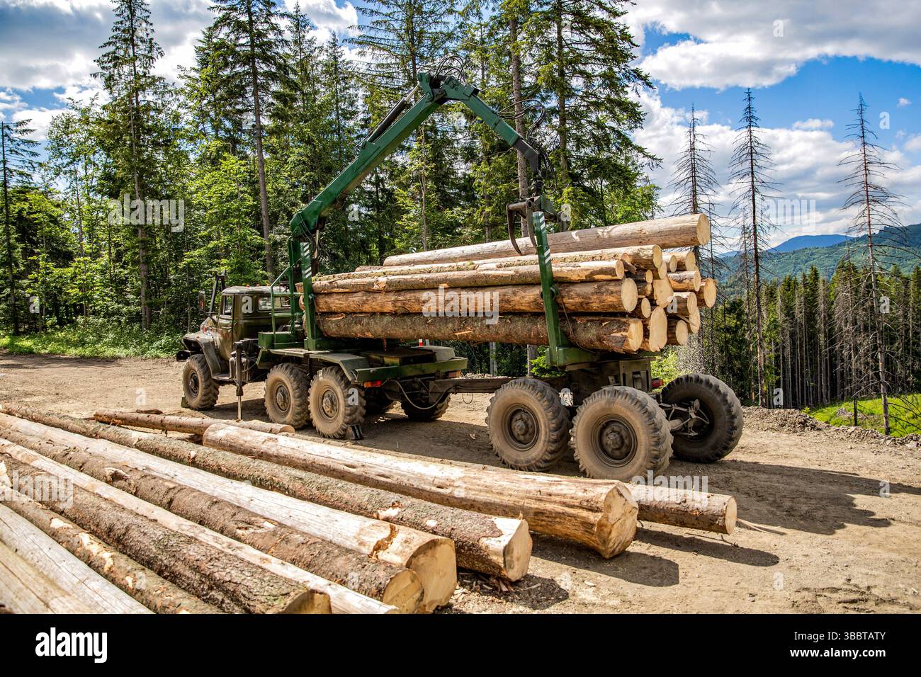 A forestry machine with its wood claw in a forest. Forklift truck grabs ...