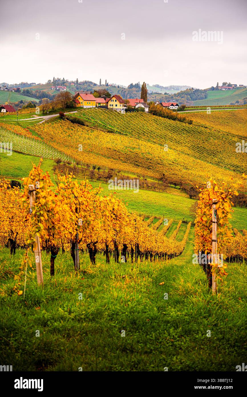 Austria styria vineyards hi-res stock photography and images - Alamy
