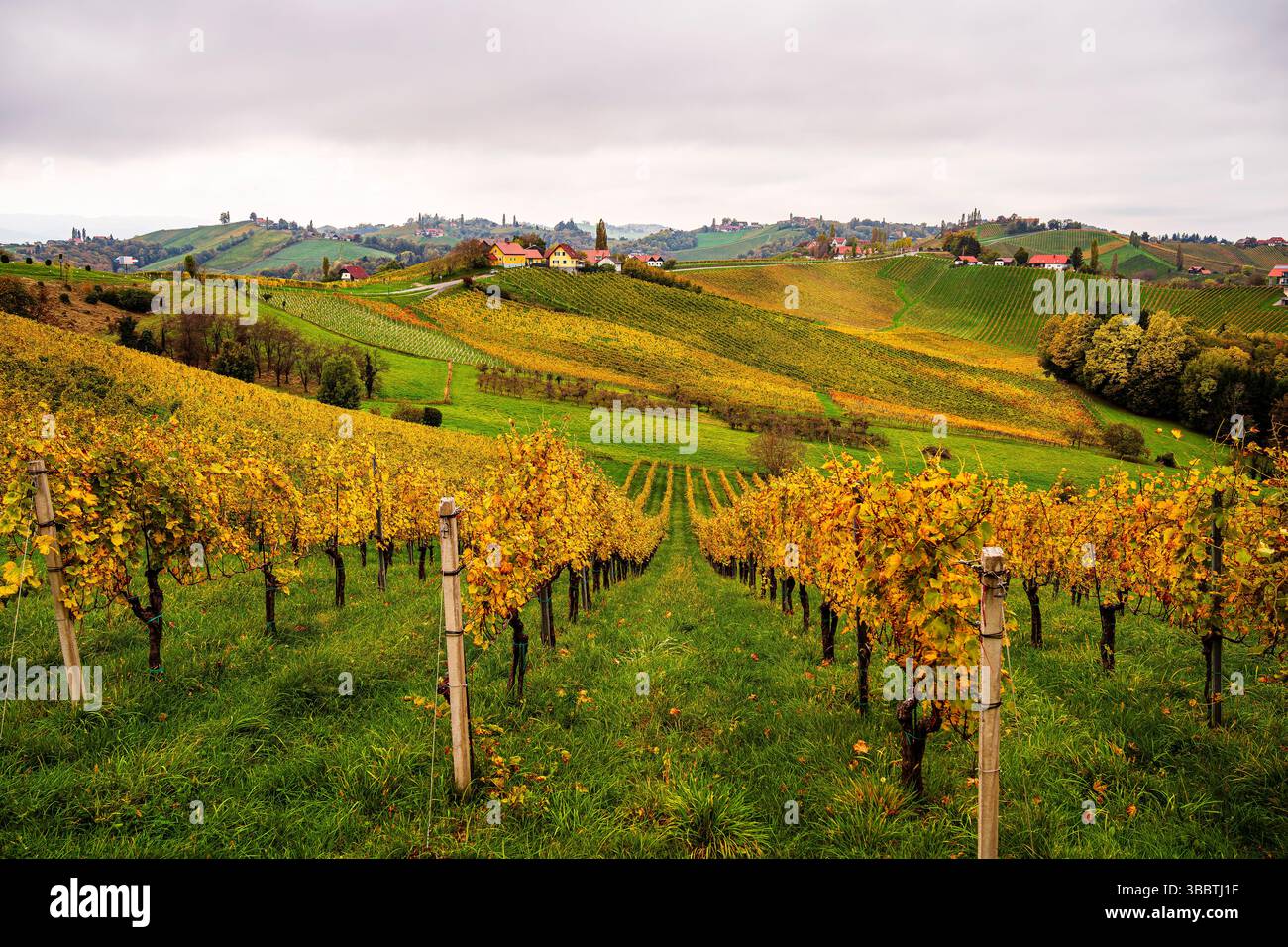 Austria styria vineyards hi-res stock photography and images - Alamy