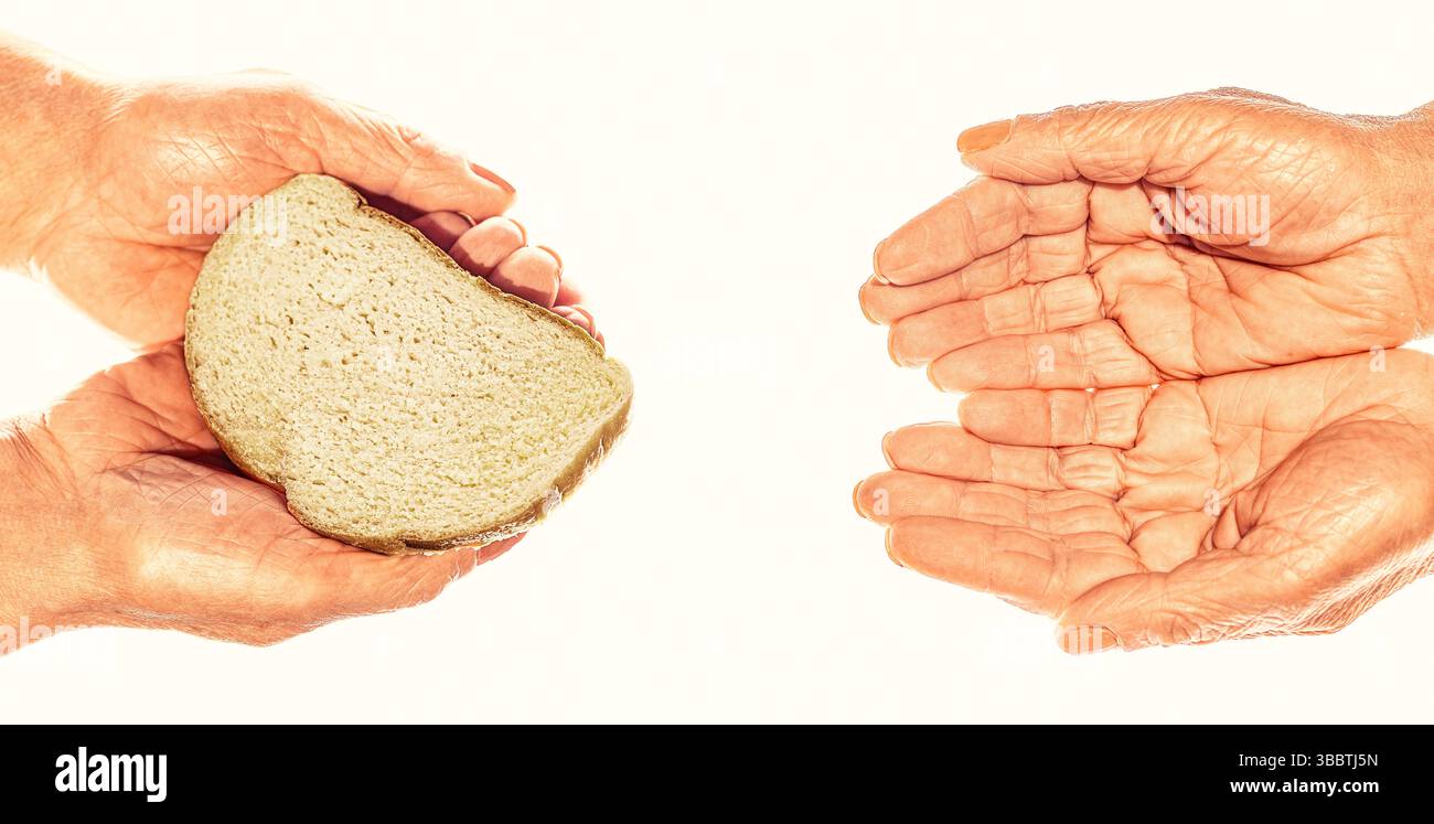 Old woman's hand holding piece of bread. Isolated on white.Woman giving ...