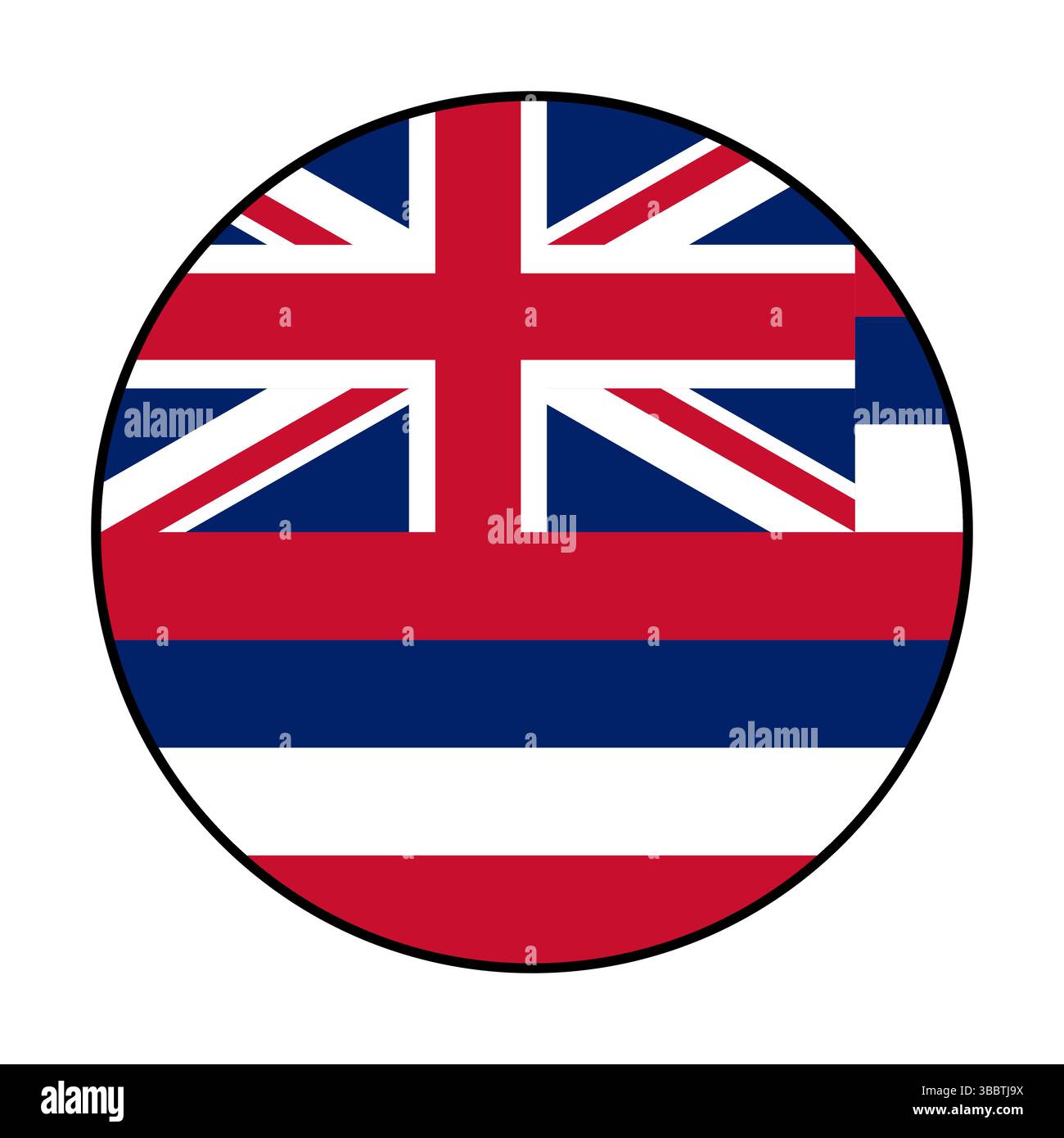 Flag of Hawaii. Black edge. Hawaii circle flag logo icon computer ...