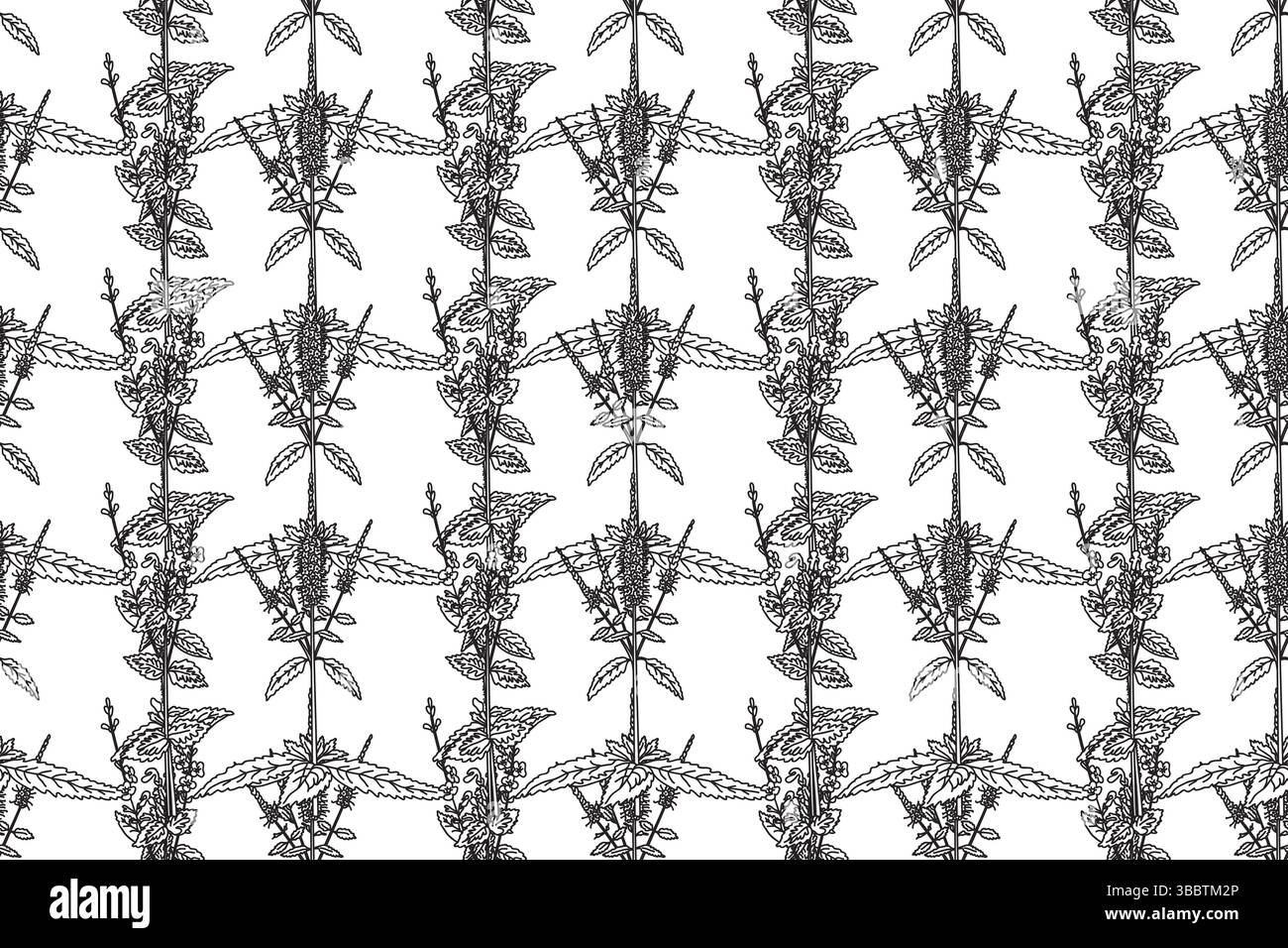 Line art botanical floral seamless pattern with wildflowers vector ...