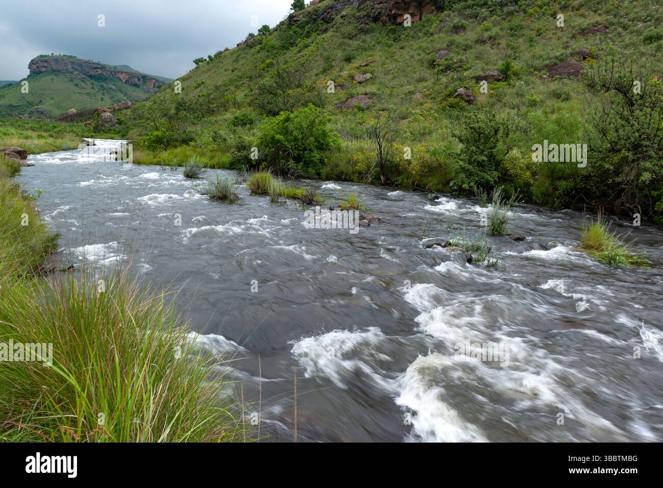 Scenic view of Bushman's River flowing through Giant's Castle Game ...
