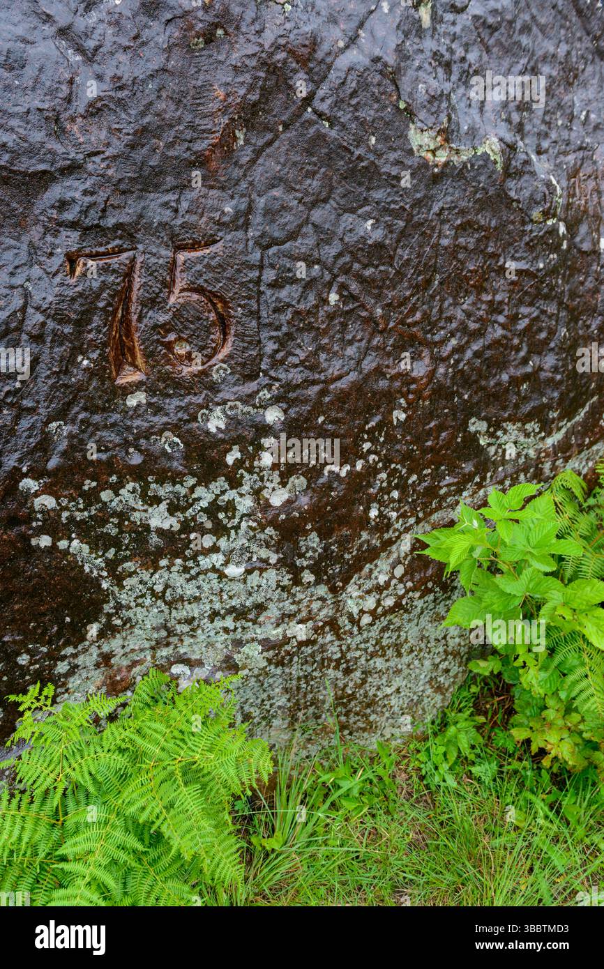 Historic "75" carving by a British Army cook from the 75th Regiment on ...