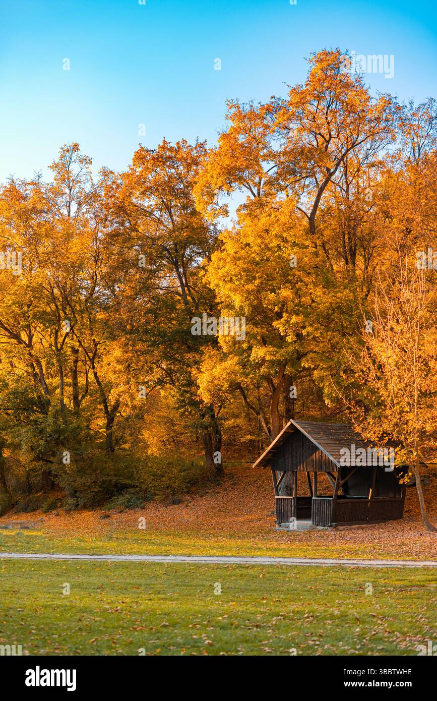 Serene yet mysterious environment hi-res stock photography and images ...